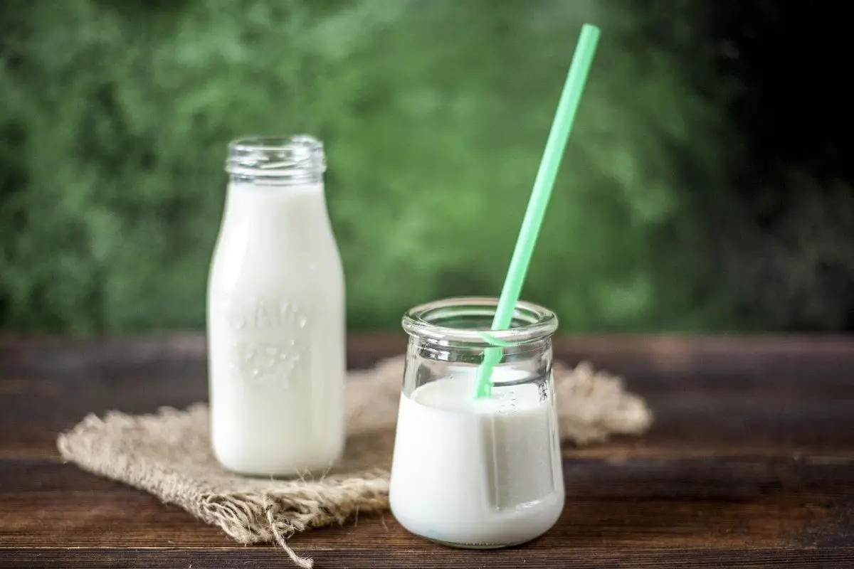 11 Best Low-Carb and Keto-Friendly Milk Substitutes - Butter And Salt ...