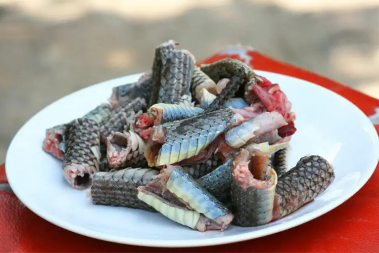 What Does Snake Meat Taste Like? - Butter And Salt Gatherings