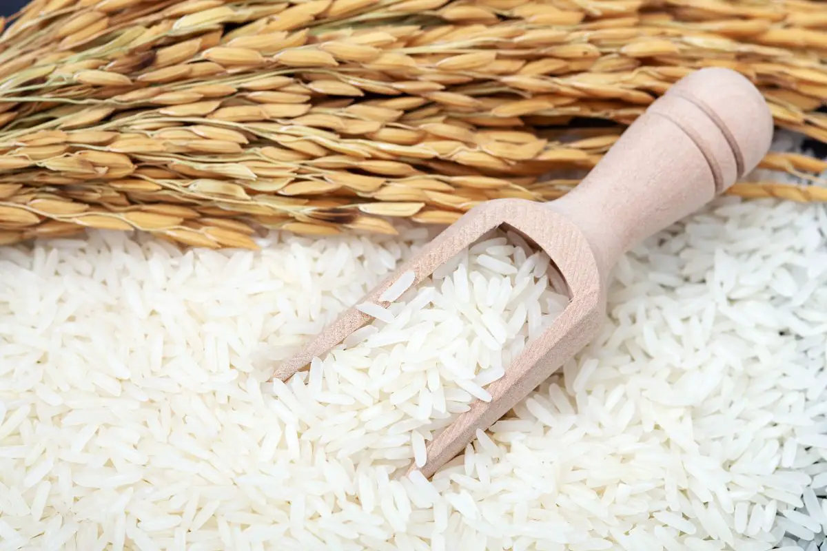 9 Amazing Sides You Can Serve With Jasmine Rice - Butter And Salt ...