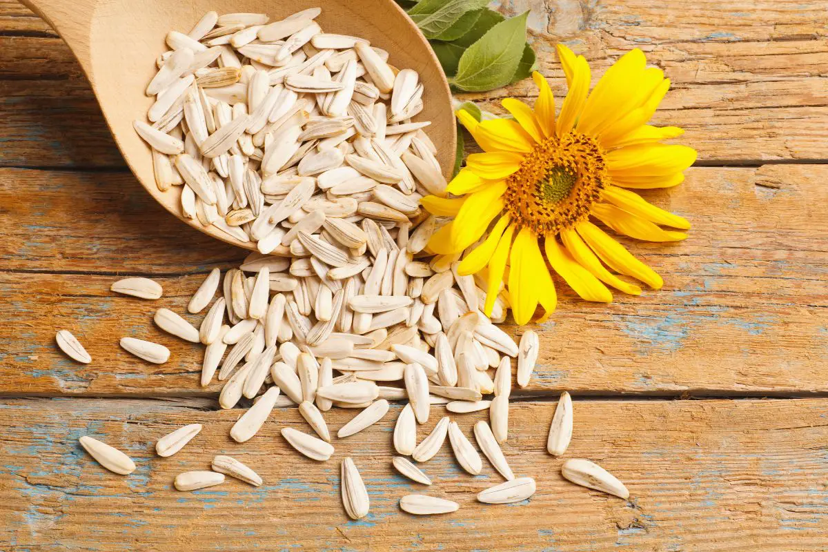 6 Amazing Sunflower Seed Substitutes – Get Cooking Right Now - Butter ...