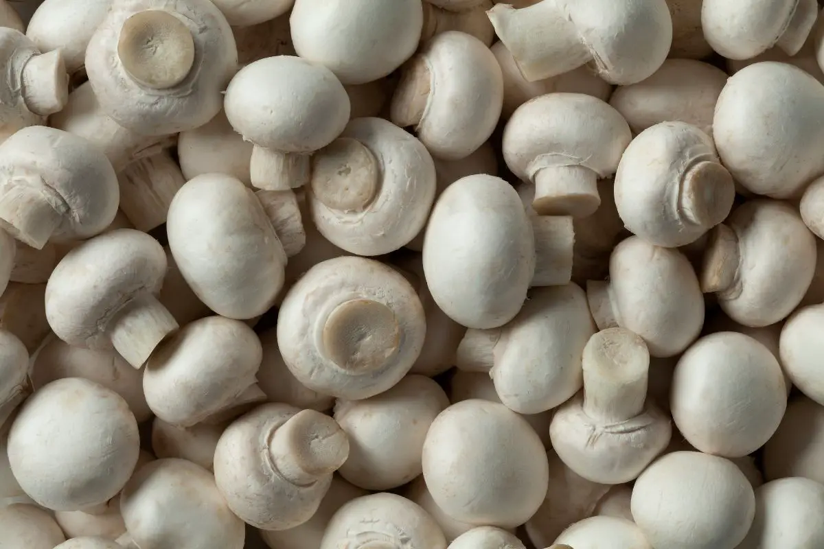 The 6 Best Substitutes For Button Mushrooms - Butter And Salt Gatherings