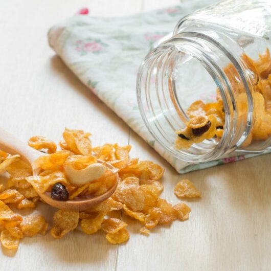 Top 6 Granola Substitutes - Butter And Salt Gatherings